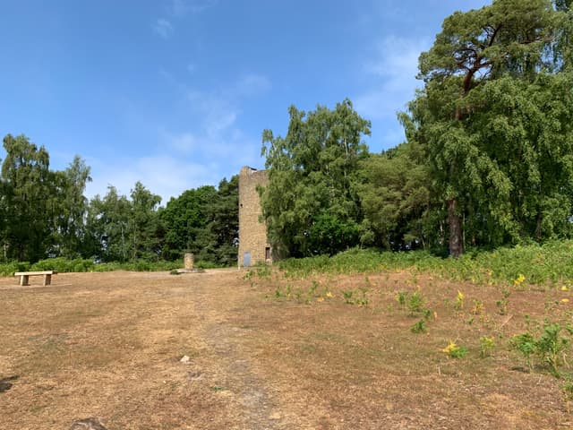 Chinthurst Hill | Guildford Rocks