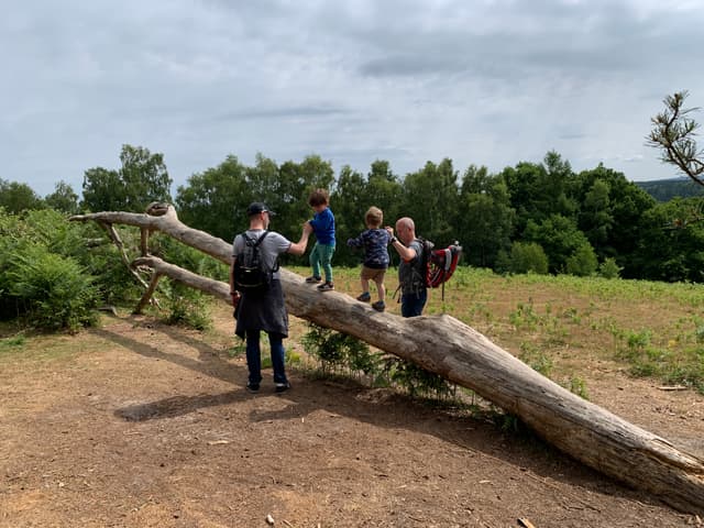 Chinthurst Hill | Guildford Rocks